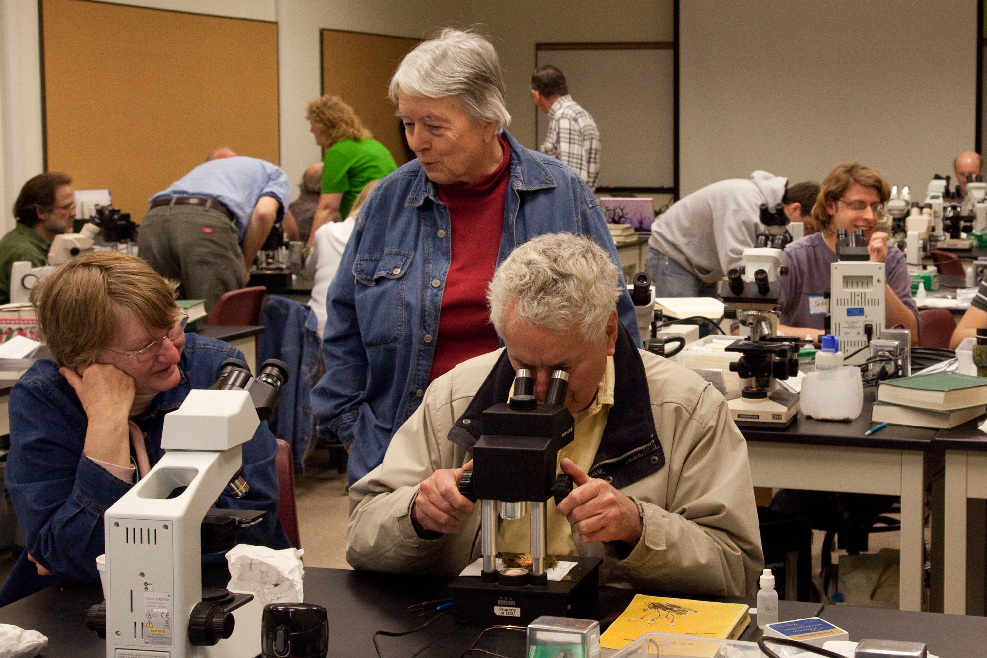 diane-lucas-contributions – Ohio Moss and Lichen Association